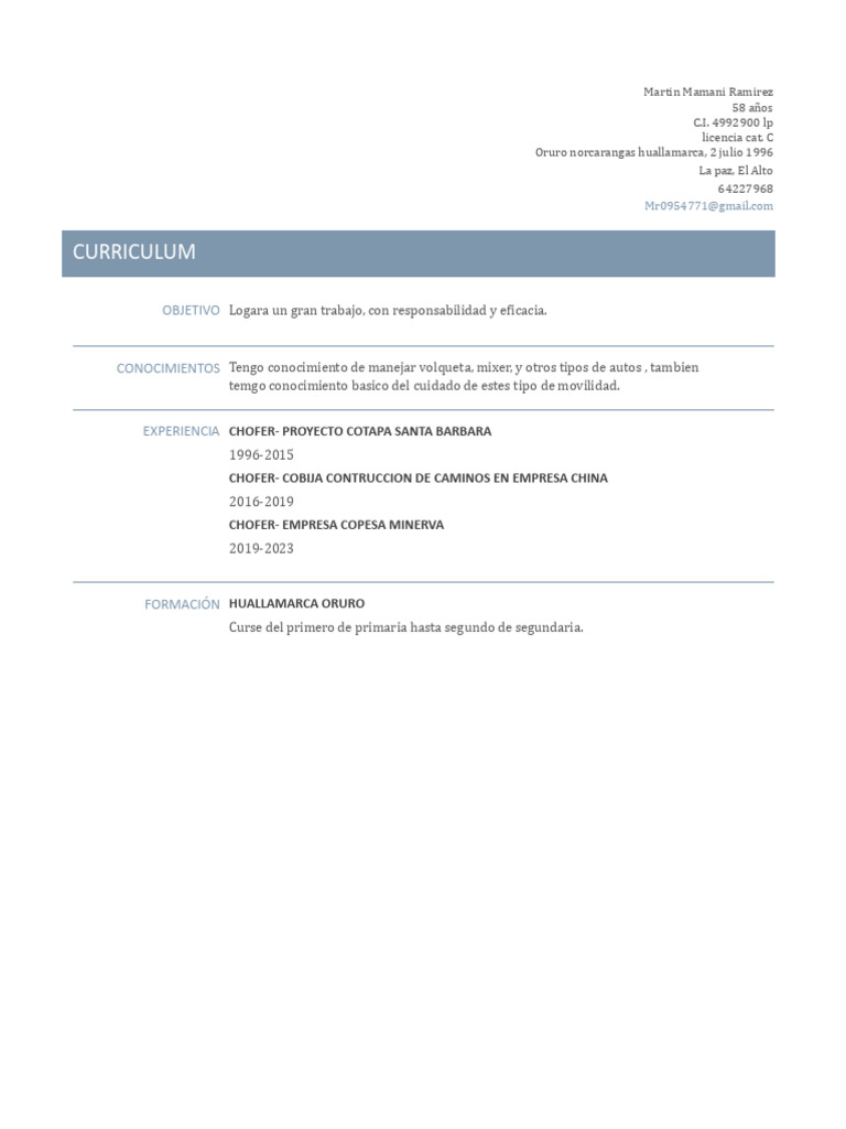 Curriculum Martin | PDF