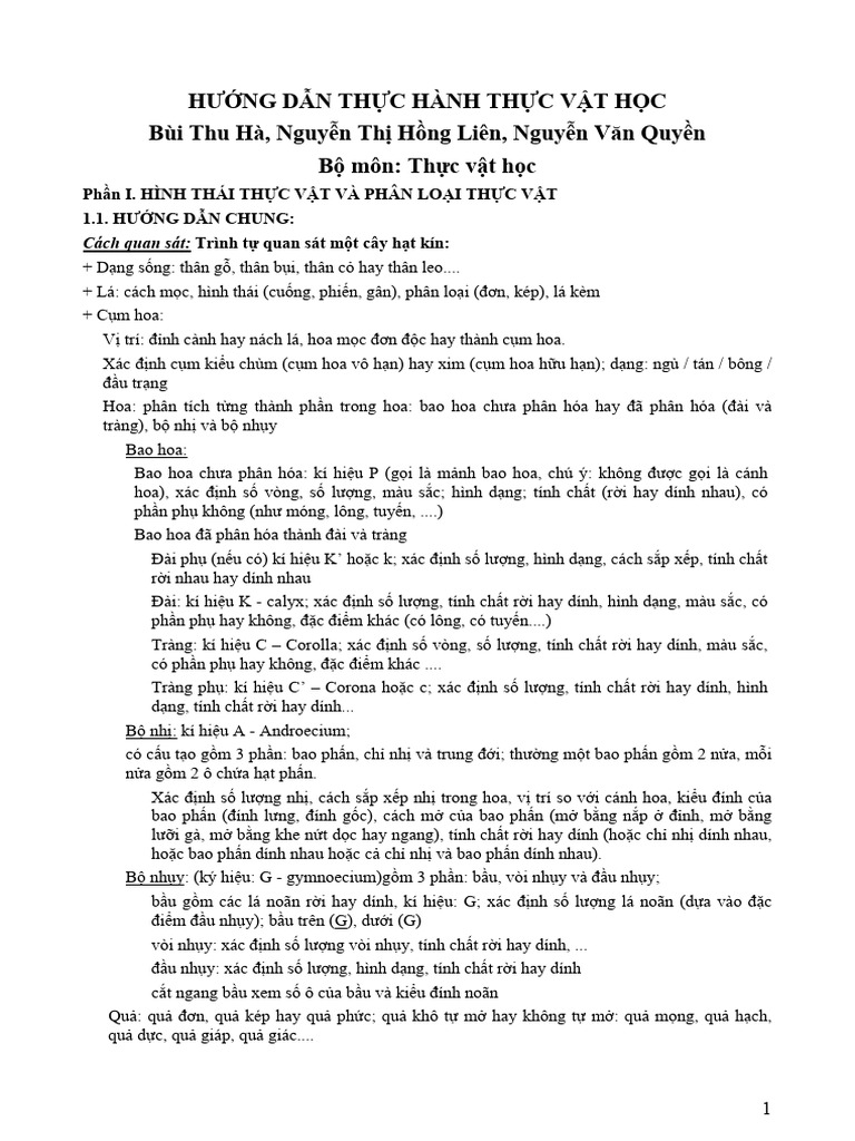 2024 - Hướng Dẫn Chi Tiết ThucHanh TVH - 1 | PDF