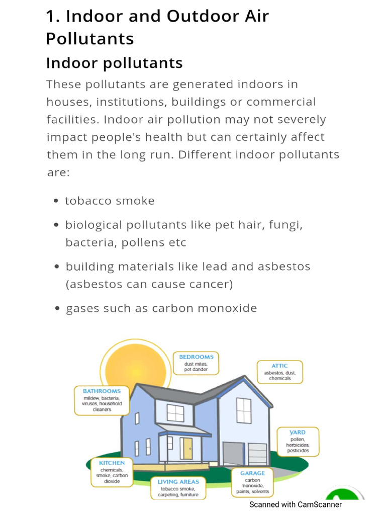 Air and Water Pollution Class 8 Phase 4 | PDF