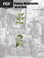 Plantas Medicinales Selva Peruana | PDF