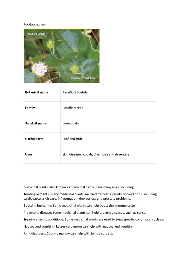 Medicinal Plant | PDF