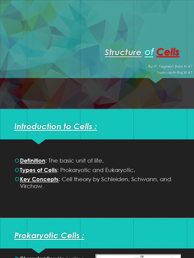 Structure of Cell. | PDF | Science & Mathematics
