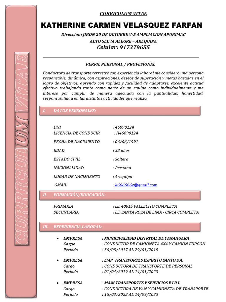 Modelo de CV 4 M | PDF