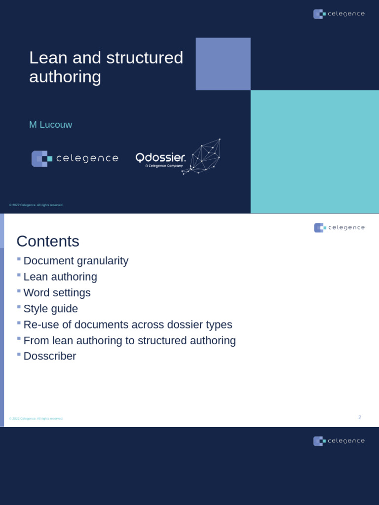 Document Granularity & Lean Authoring | PDF | Punctuation | Comma