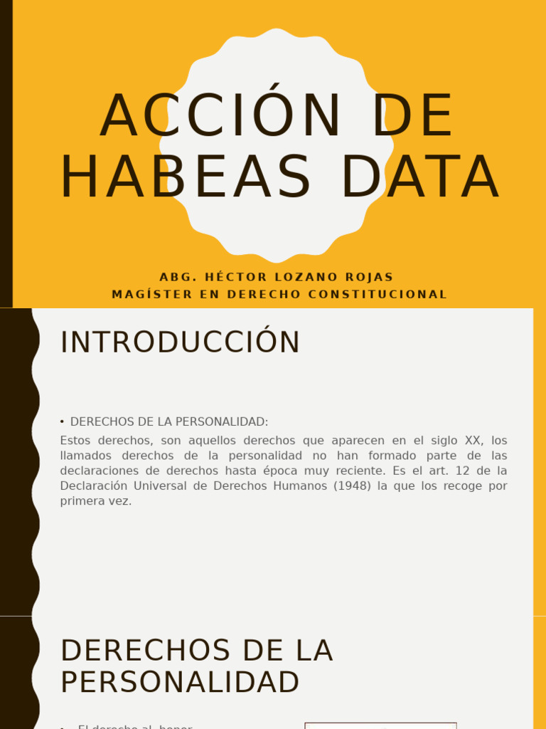 Acción de Habeas Data | PDF | Justicia | Crimen y violencia