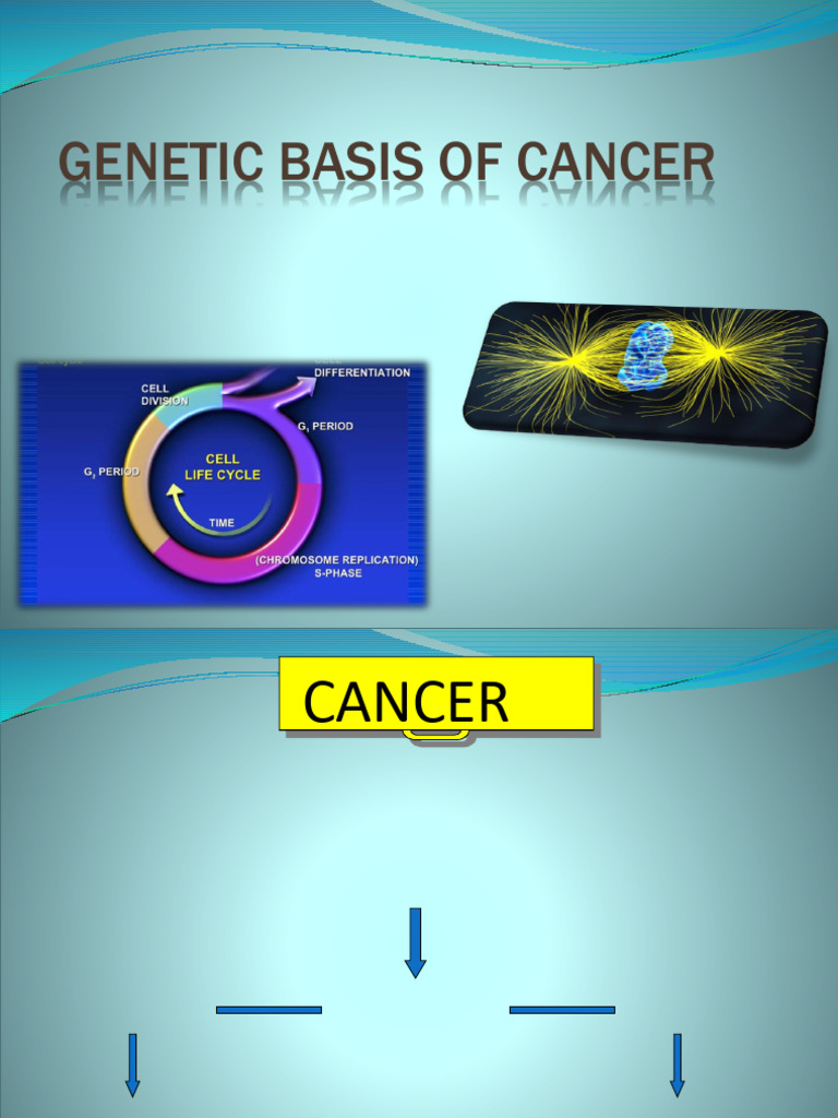 Genetic Basis of Cancer | PDF | Myc | Oncogene