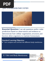 Chapter 4 Skin and Body Membranes | PDF | Skin | Epidermis