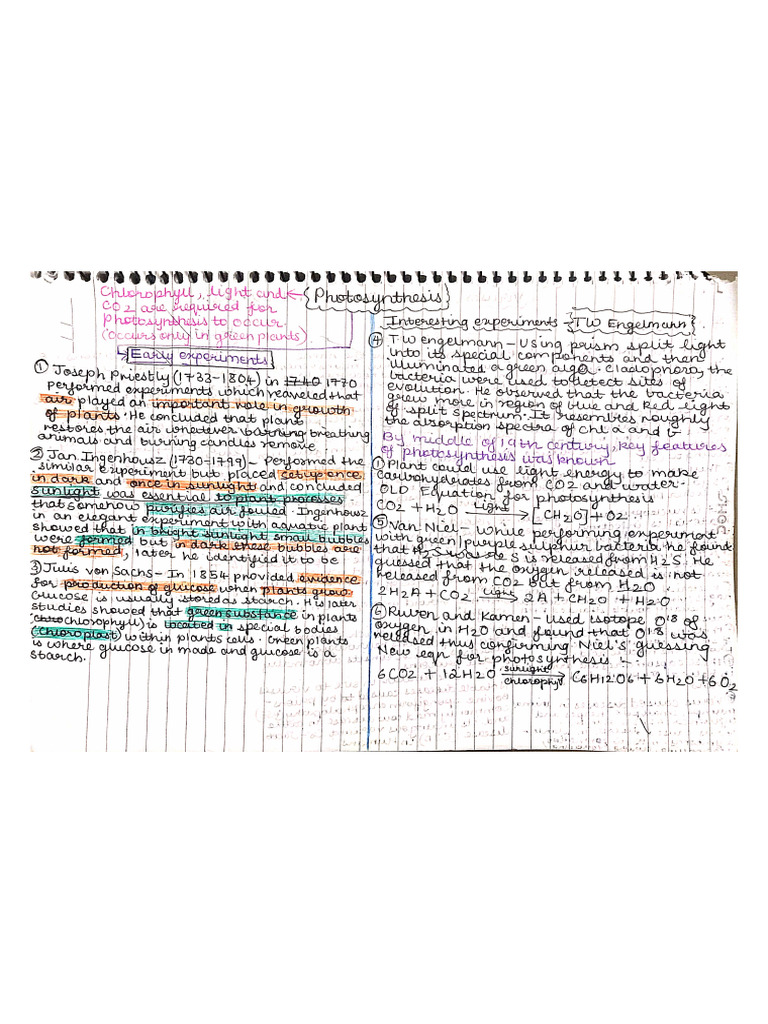 Photosynthesis Class 11th Ncert+ssc Notes | PDF