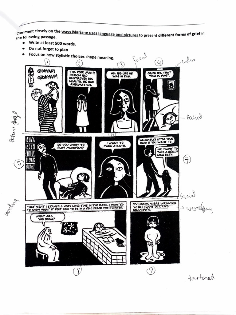 Persepolis Sample Essay | PDF