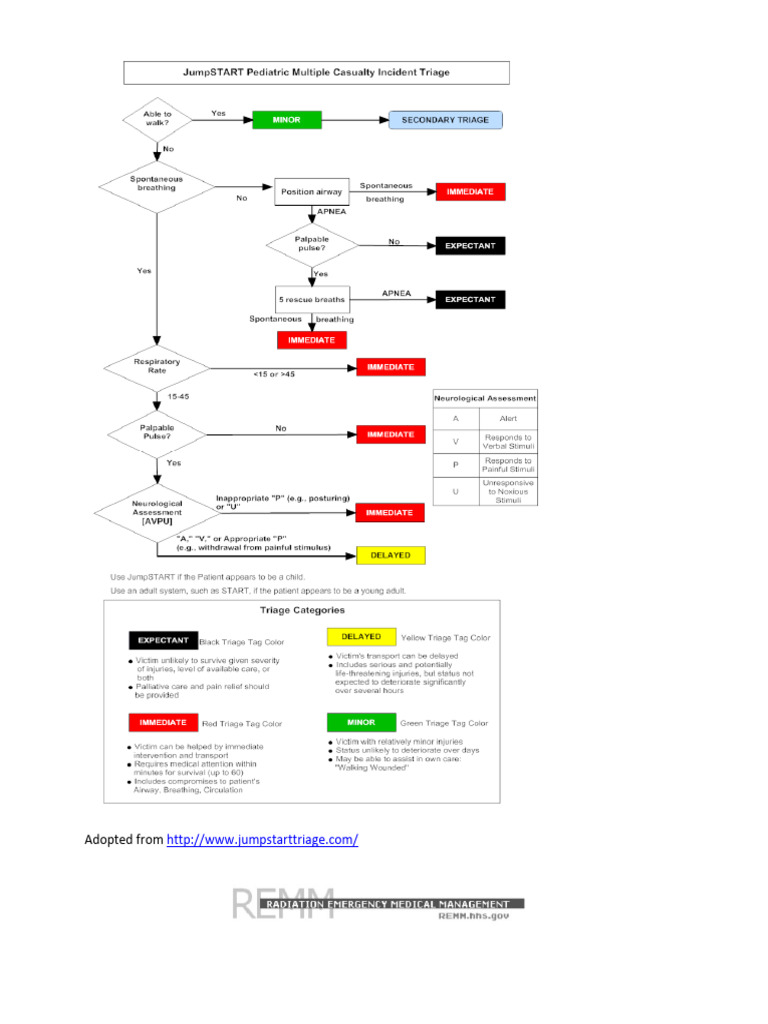 Start Pediatric Triage Algorithm | PDF