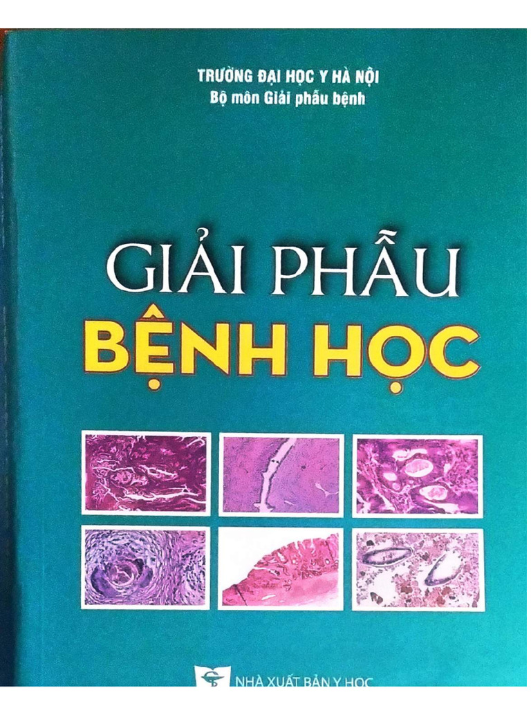 Giai Phau Benh Hoc - YHN 2020 | PDF