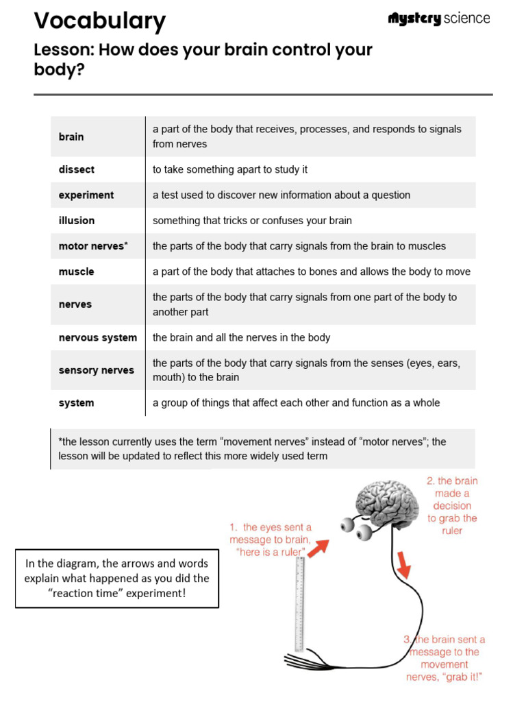 Copy+of+Mystery+Science +How+Does+Your+Brain+Control+Your+Body ...