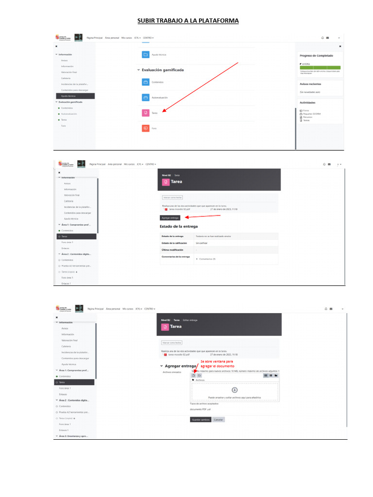 Cómo Entregar Tareas | PDF