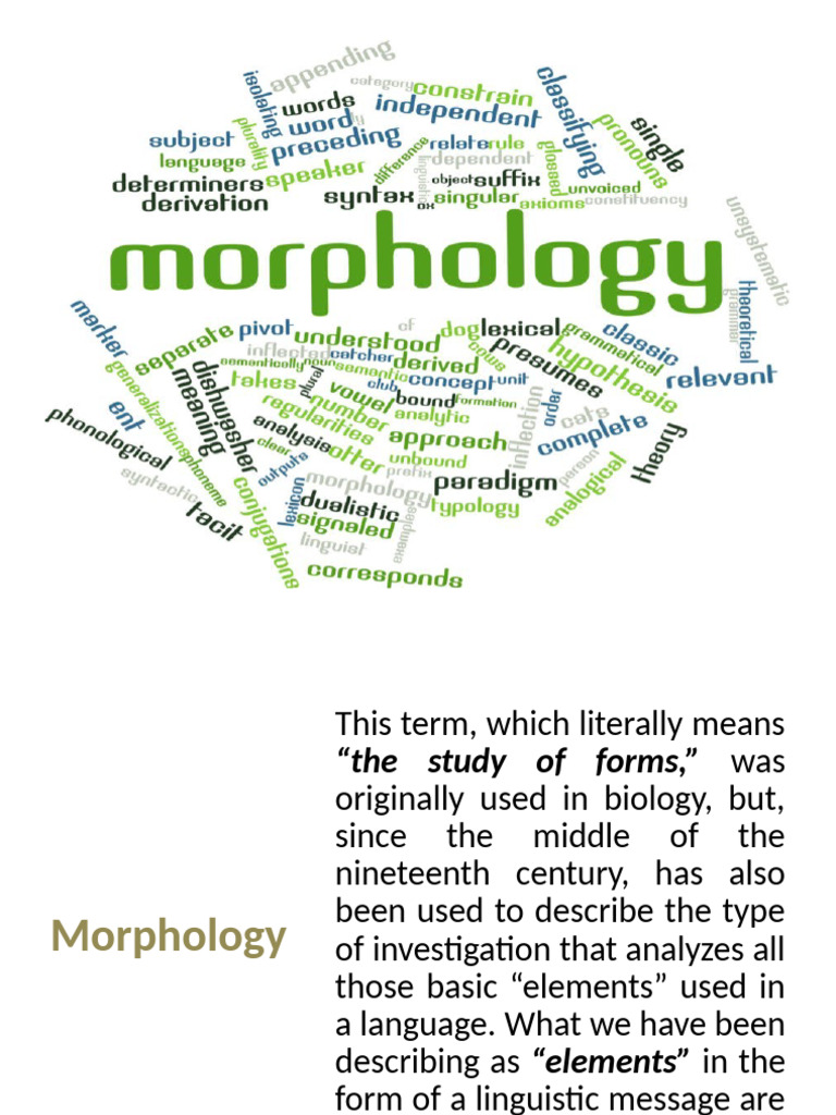 Morphology 1 2 | PDF | Word | Morphology (Linguistics)