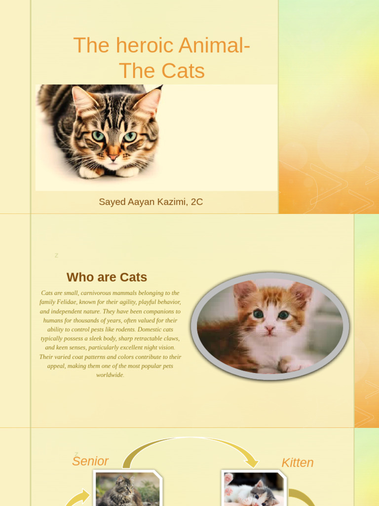 Sayed Aayan Kazimi-Cats | PDF