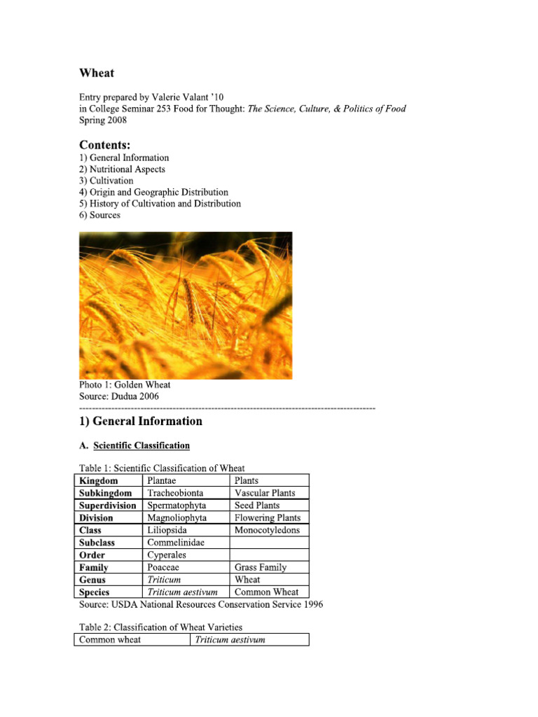 Wheat 1 | PDF