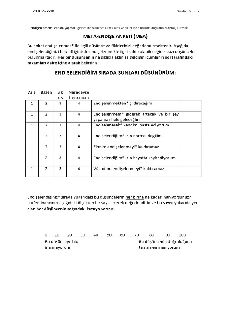 Meta Endise Anketi | PDF