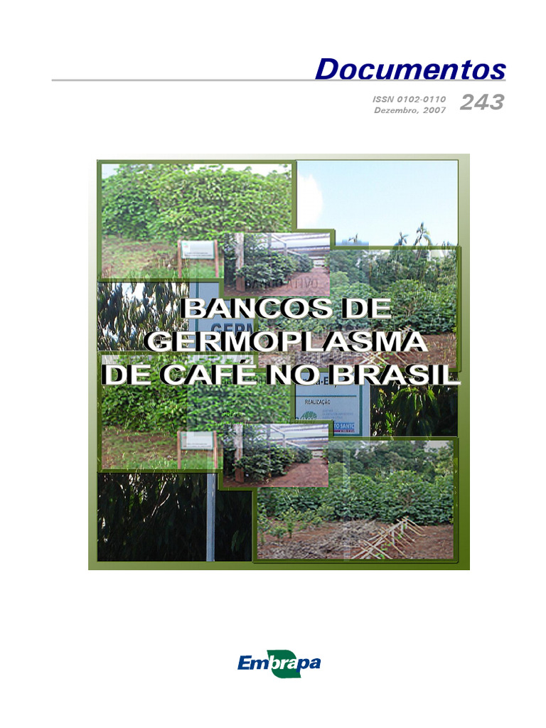 Bancos de Germoplasma de Café No Brasil | PDF | Tecnologia e Engenharia