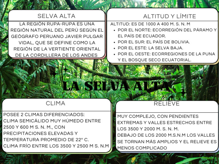La Selva Alta | PDF