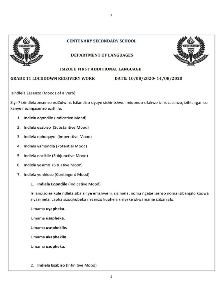 Grade 11 Zulu Lockdown 14 August | PDF