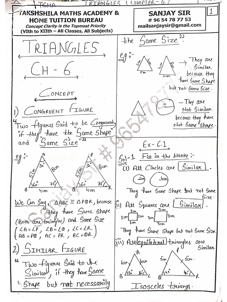 Triangles Notes | PDF