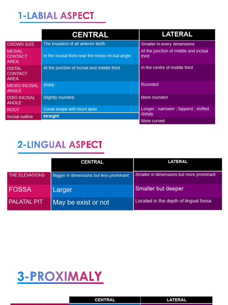 The Diffrence Between Upper Central and Lateral Incisors | PDF