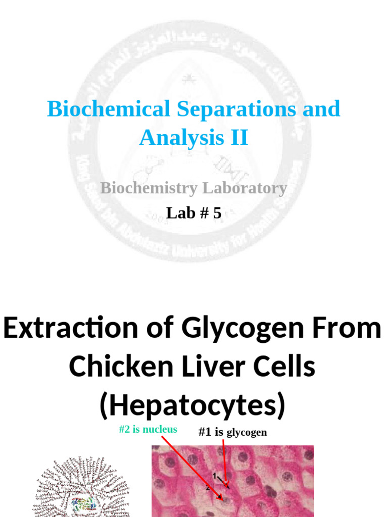 Lab 5 Biochemical Separations and Analysis II | PDF | Polysaccharide ...