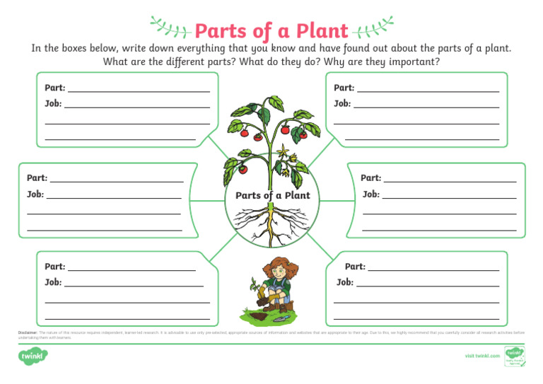 T SC 1712925722 Parts of A Plant Mind Map - Ver - 2 | PDF