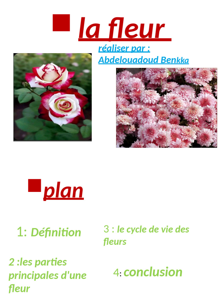 Comprendre la fleur : structure et cycle | PDF