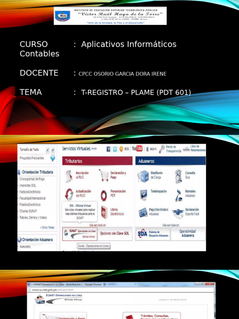 T-Registro PLAME: Curso de Contabilidad | PDF