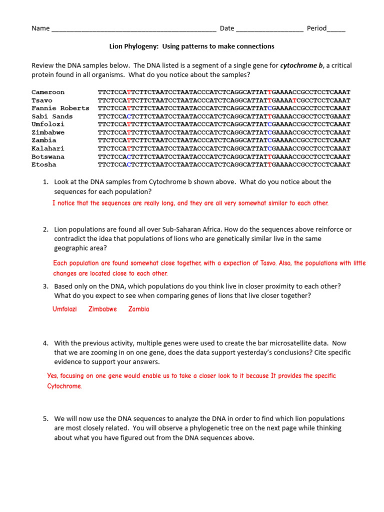 Ethan Lim - Lion Phylogeny Activity Cytochrome B 2023 | PDF ...