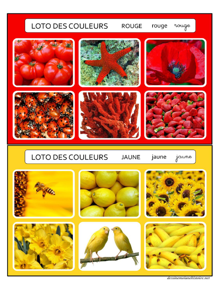 Loto Des Couleurs Maternelle A Imprimer PS MS GS | PDF