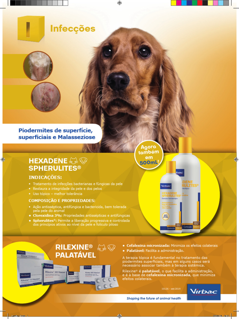 Lamina I | PDF | Medicina Clínica