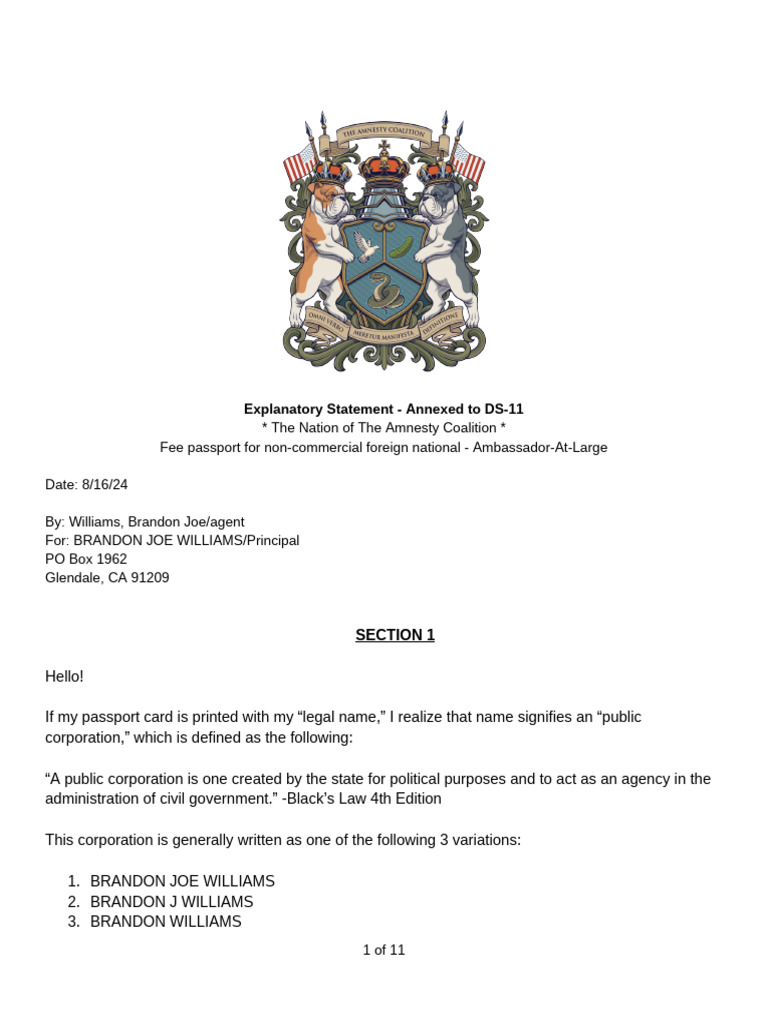 Explanatory Statement For The Amnesty Coalition | PDF | Allegiance ...