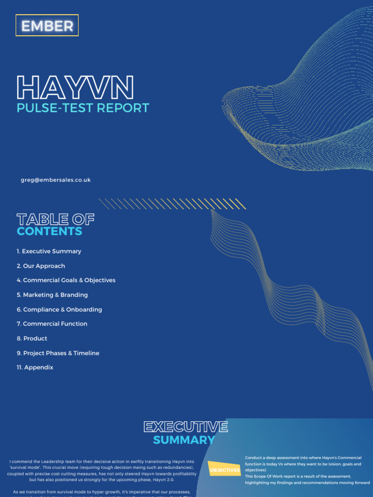 Ember Sales Hayvn Pulse-Test Report | PDF | Marketing | Sales