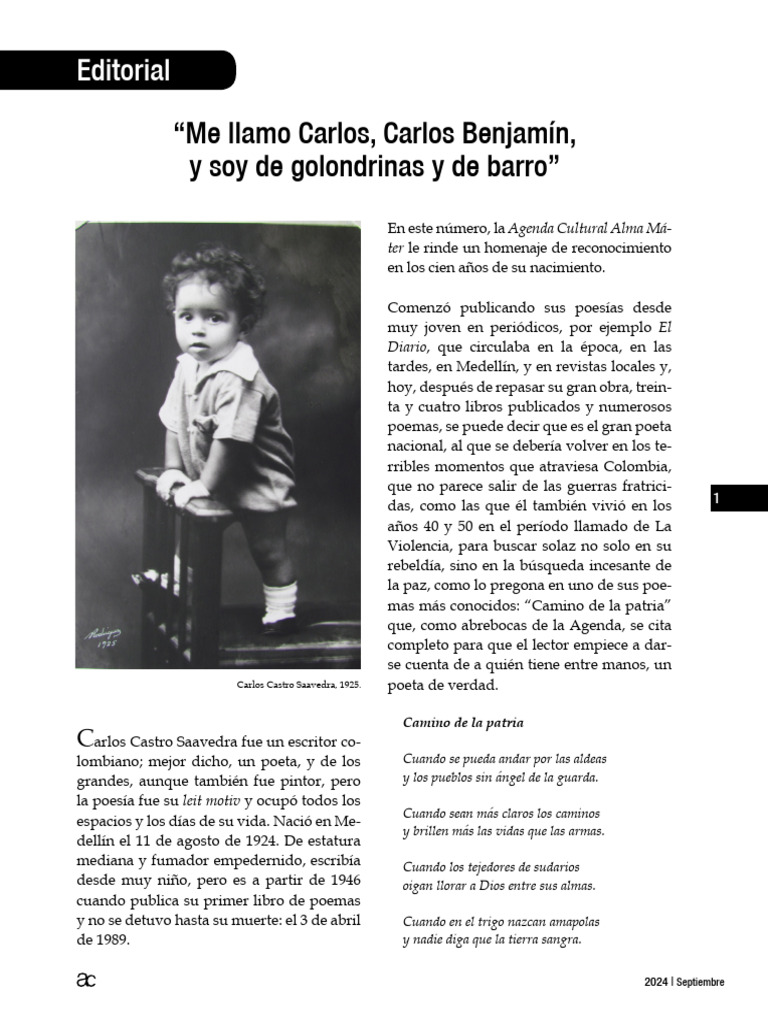 Me Llamo Carlos, Carlos Benjamín, y Soy de Golondrinas y de Barro | PDF ...