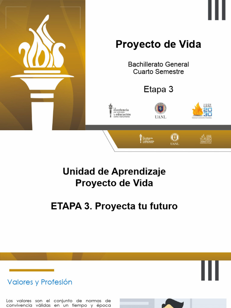Presentación ProVi Etapa 3 | PDF | Justicia | Crimen y violencia