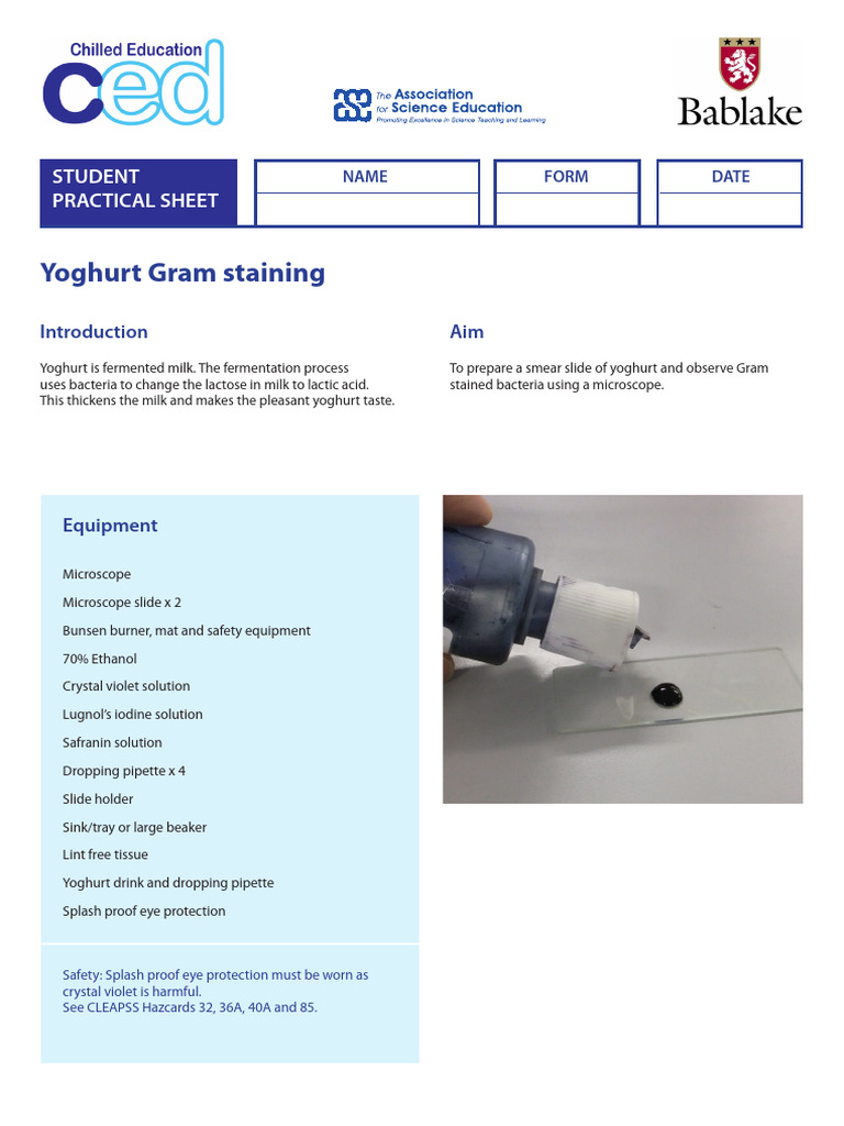 Yoghurt Gram Staining Procedure | PDF | Staining | Yogurt