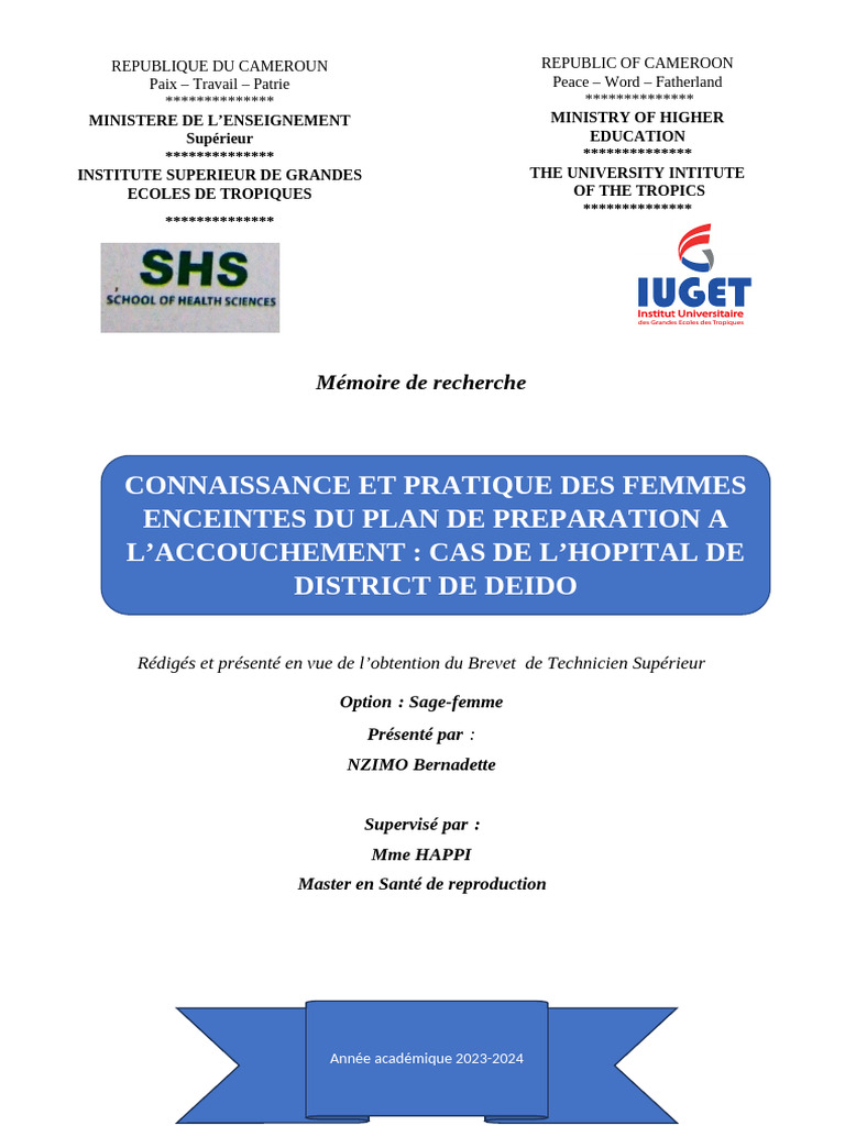 Mémoire Zimo | PDF | Accouchement | Grossesse