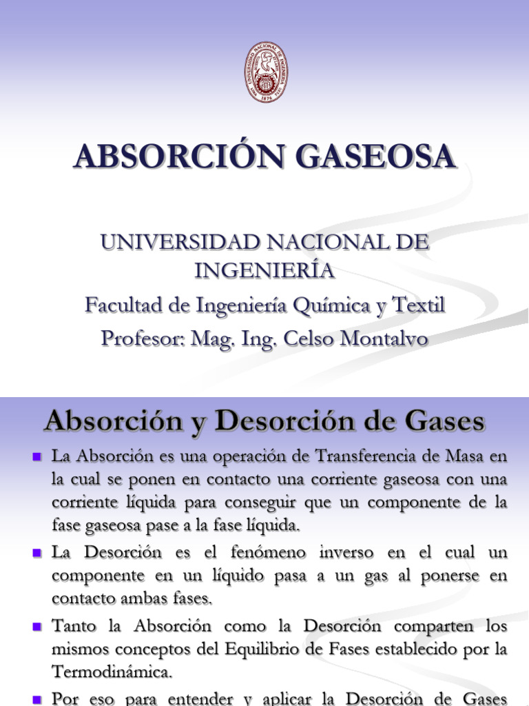 05 Absorcion | PDF | Absorción (Química) | Vapor