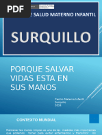 Higiene-Manos-Salva-Vidas OPS | PDF | Lavado de manos | Infección