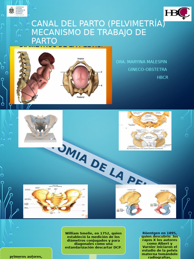 Pelvimetria, MTP | PDF | Pelvis | Parto