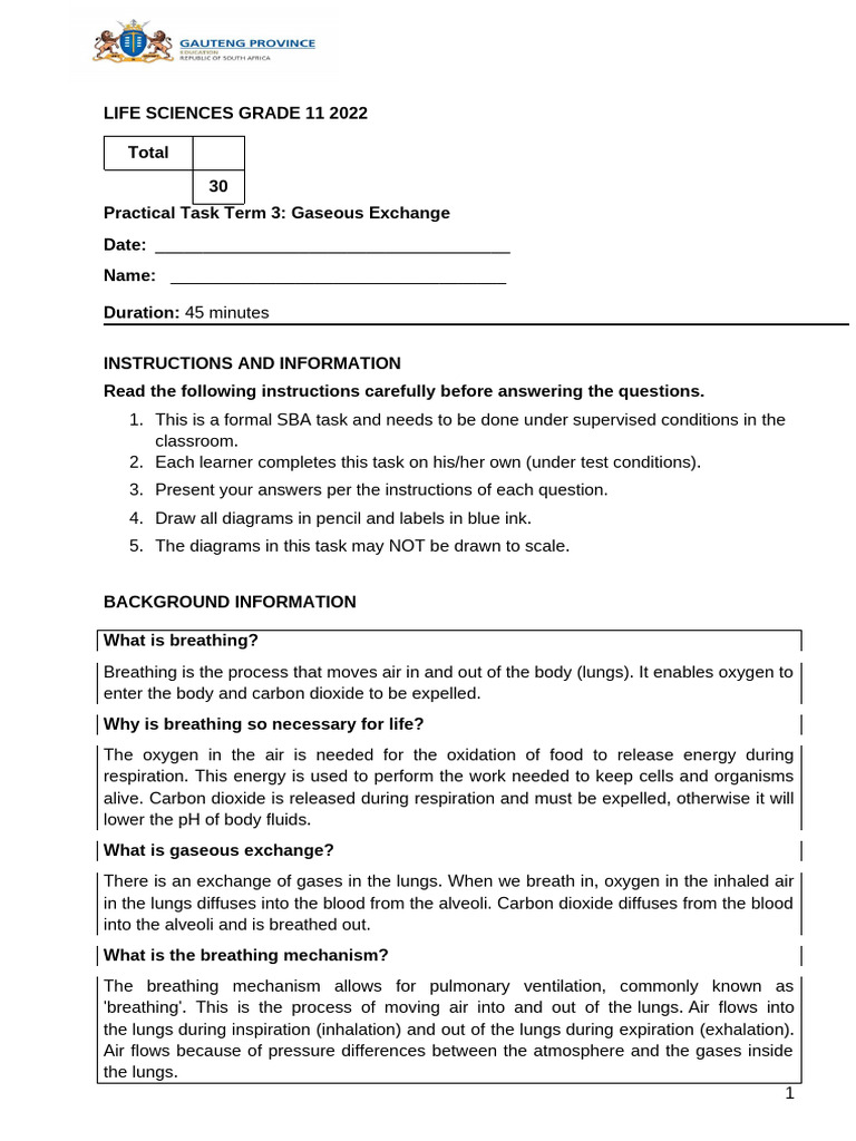 Term 3 Gr.11 Practical Task 2022 | PDF | Breathing | Lung