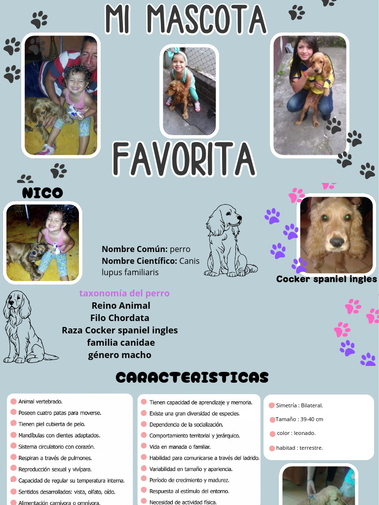 Mi Mascota Favorita Laura Isabel Pineda 1 G | PDF | Novela negra ...