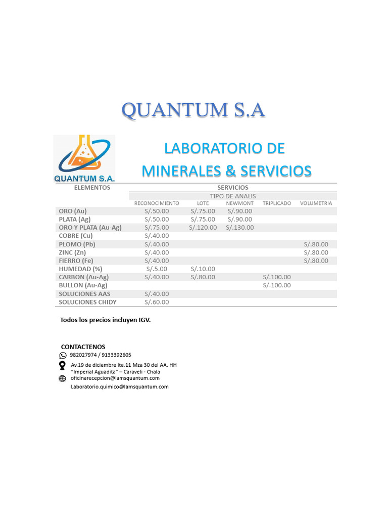 Servicios & Quantum S.A | PDF