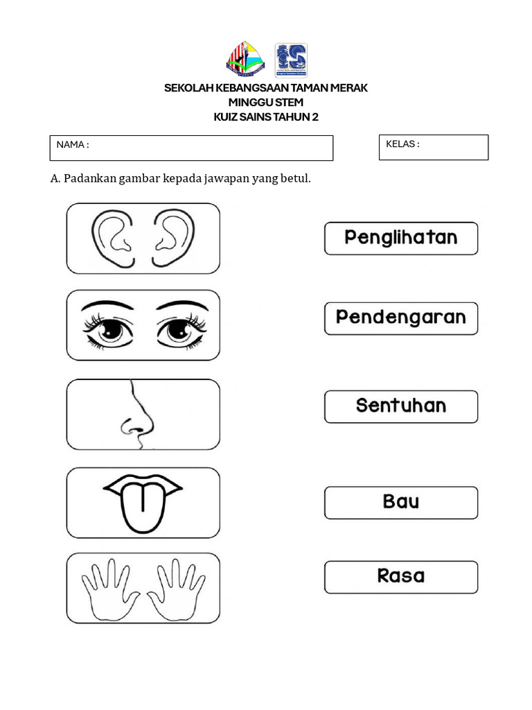 Sekolah Kebangsaan Taman Merak Minggu Stem Kuiz Sains Tahun 2 | PDF