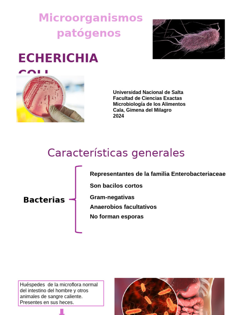 Microorganismos.patogenos. | PDF