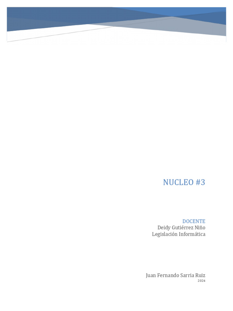 Nucleo 3 - Legislacion Informatica | PDF