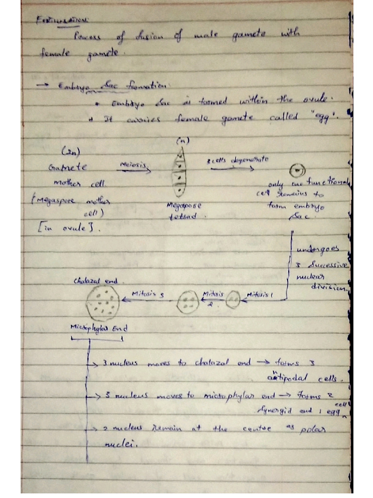 Nagul Running Notes | PDF