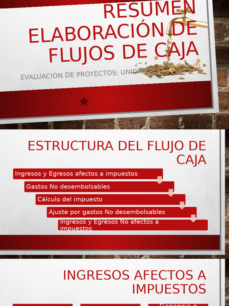Resumen Flujo de Caja | PDF | Depreciación | Economias